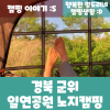 캠핑이야기 S 바로 앞 하천에서 다슬기를 잡을 수 있는 대구근교 경북 군위 일연공원 노지캠핑장 네이버 블로그